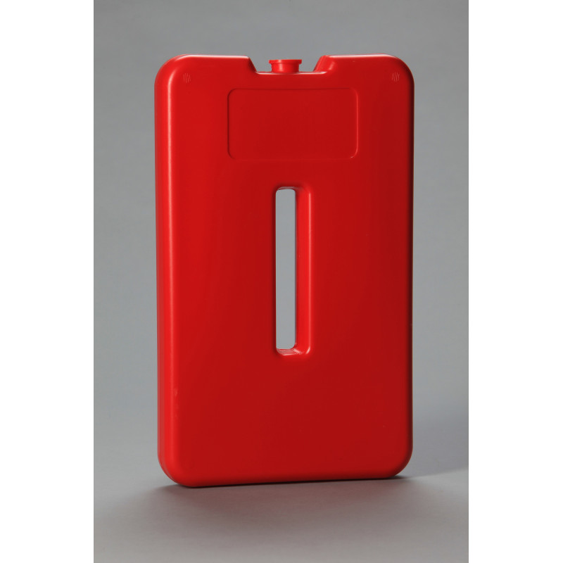 Plaque eutectique chaude GN1/4